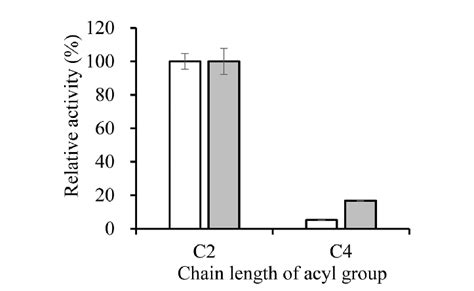 Substrate Specificity Of The Δ20 And Δ54 Mutants Download Scientific