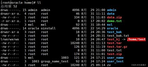 linux系统命令详解：网络、文件权限与进程管理 csdn博客