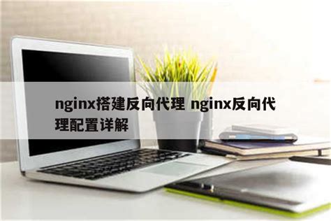 Nginx搭建反向代理 Nginx反向代理配置详解 技术分享 Xp资讯网 Nginx搭建反向代理 Nginx反向代理配置详解 技术分享 Xp资讯网