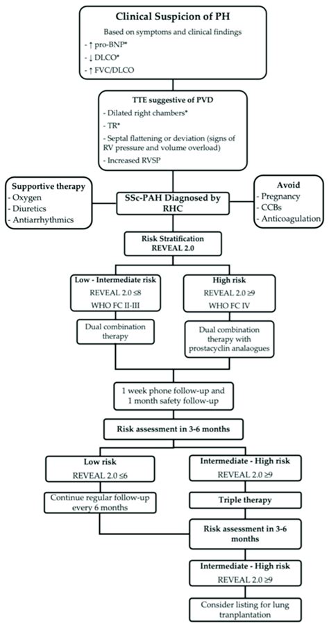 screening diagnostic and treatment algorithm for systemic download scientific diagram