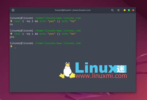 如何在 Bash 脚本中使用 Linux Test 命令 Linux迷