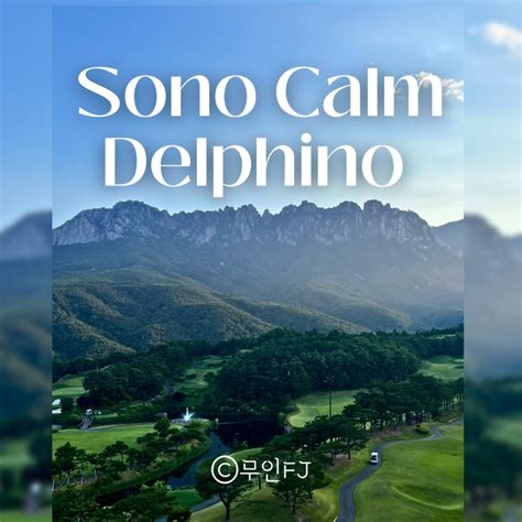 고성 소노캄 델피노 Ab 울산바위뷰 스위트취사 공휴일 체크인 후기 뷰좋은 방번호 꿀팁 네이버 블로그