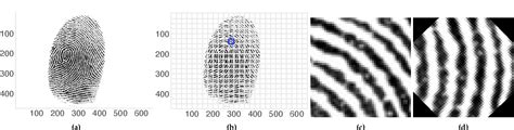 Table 3 From Nfiq 2 Nist Fingerprint Image Quality Semantic Scholar