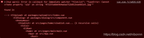 vue报错：typeerror cannot create property xxx on string xxxx cannot