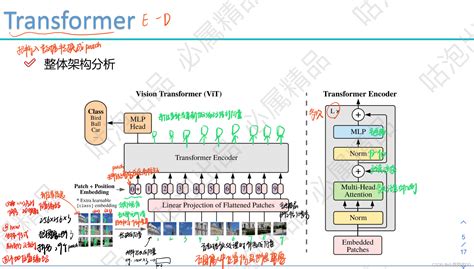 Transformer在视觉中的应用vit算法 Csdn博客