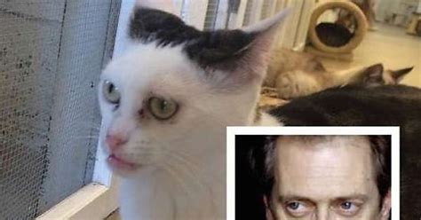 Cat Buscemi Album On Imgur