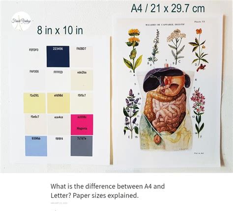 What Is The Difference Between A And Letter Paper Sizes Explained Letter Paper Paper Size