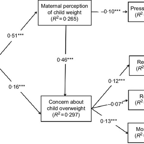 Hypothesised Model For Relationships Between Variables Of Interest