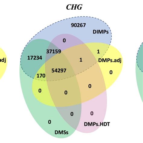 Methyl It Processing Flowchart Ovals Represent Input And Output Data Download Scientific