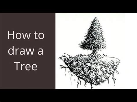 How To Draw A Pine Tree YouTube Drawings Tree Drawing Drawing Techniques