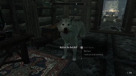 Tinytimandfriends Companions Loverslab