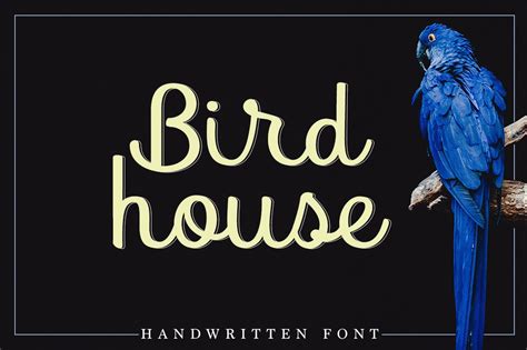 Bird House Script Fonts ~ Creative Market