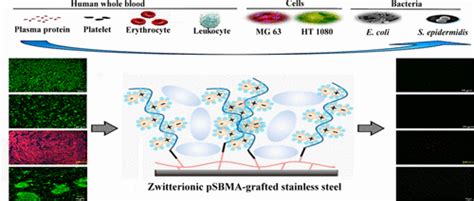 Zwitterionic Based Stainless Steel With Well Defined Polysulfobetaine Brushes For General