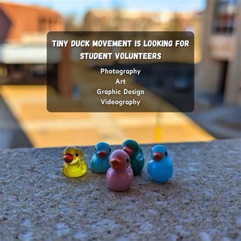 Tiny Duck Movement Tinyduckmovement • Instagram Photos And Videos
