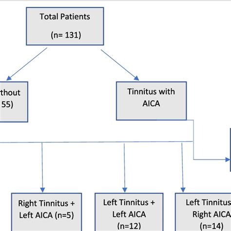 Flow Diagram Showing Distribution Of Tinnitus And Aica Download Scientific Diagram
