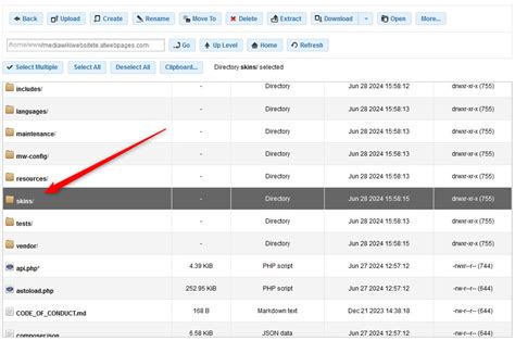 How To Install A Mediawiki Skin