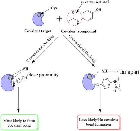 Proposing Covalent Inhibition With Distance Analysis Between Warhead Download Scientific