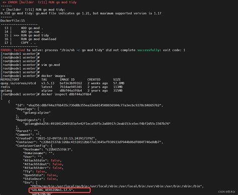 docker构建golang项目常见问题