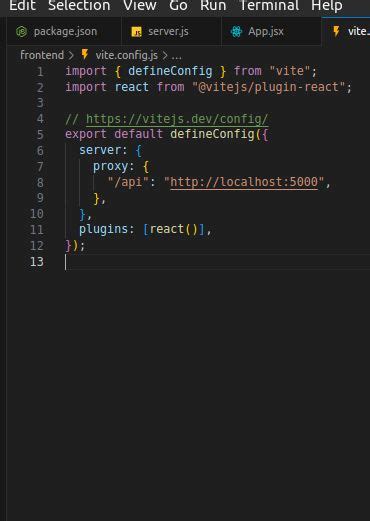 Parkash Kumar On Linkedin React Vite Development Proxy