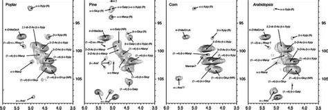 2d Nmr Spectra Revealing Polysaccharide Anomericspartial Short Range