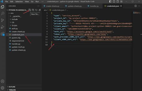How To Use Python With Google Sheets SSP