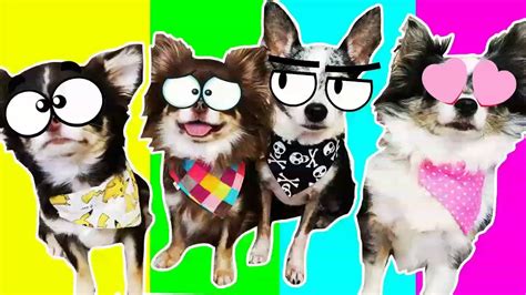 Картинки покемона юмичу - Фотоподборки 1