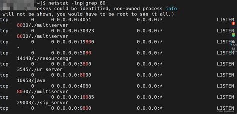 Linux常用命令 Csdn博客