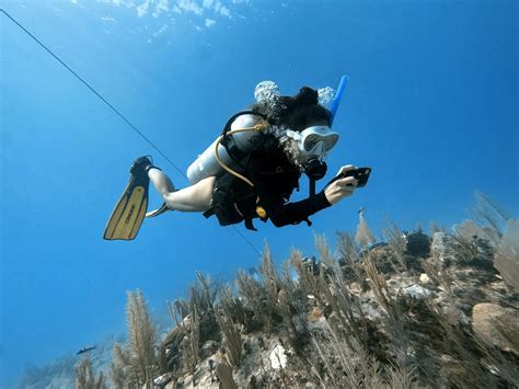 Build Your Own Package Tulum Diving Packages Experiences