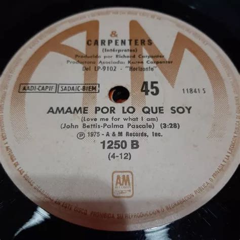 Simple Carpenters Aym C23 Meses Sin Intereses