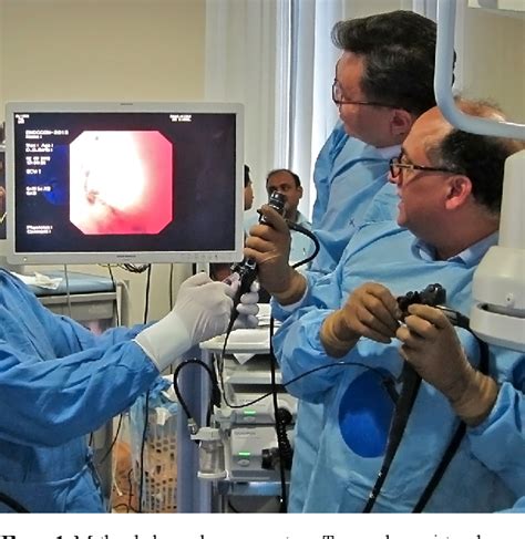 Figure 1 From Recent Advances Of Peroral Cholangioscopy Semantic Scholar