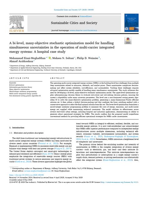 A Bi Level Many Objective Stochastic Optimization Model For 2025