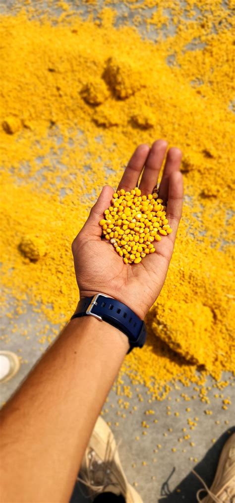 Ansh Mehta On Linkedin Industriallearning Foodprocessinginsights