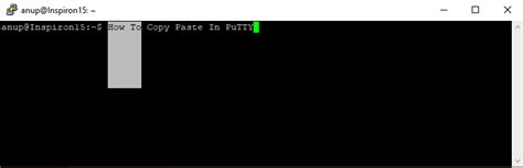 How To Copy And Paste In Putty Terminal