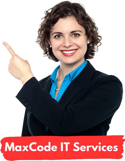 maxcode it services website development company in dausa