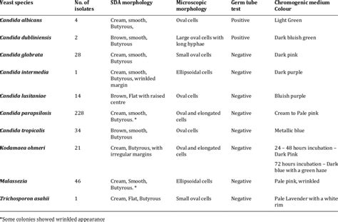 Colony Characteristics And Identification Of Isolated Yeast Isolates
