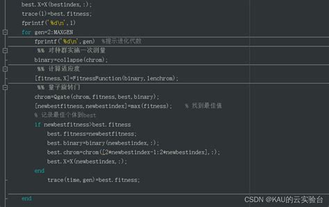 速成 量子遗传算法及其MATLAB实现 CSDN博客