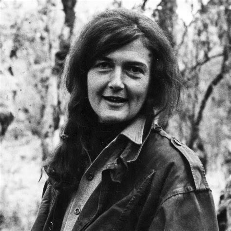Dian Fossey Dian Fossey Organization Sends Gorillas To The Cloud