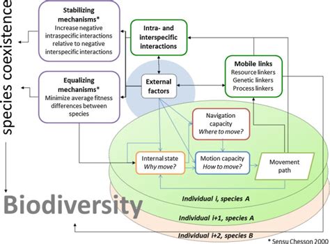 Integrative Conceptual Framework For The Linkage Of Movement Ecology Download Scientific