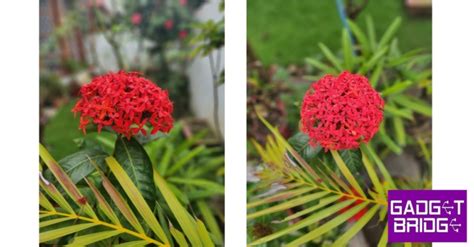 Samsung Galaxy Z Flip Review Fun Aesthetic Meets Exemplary Performance