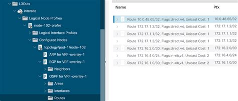 Dynamic Routing Protocol Routing Table Cisco Aci Cisco Community