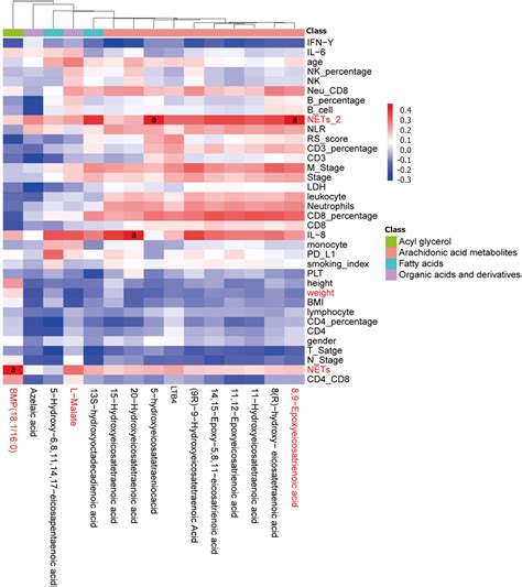 Machine Learning Based On Metabolomics Unveils Neutrophil Extracellular