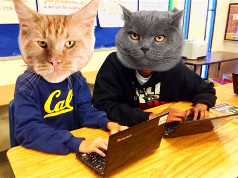 Photo Apps For Sharing Classroom Pics