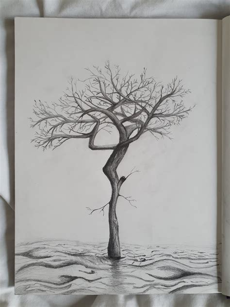 Any Tips On Improving This Tree Is Standing In Water R Learnart