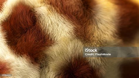 고급스럽고 매력적인 모피는 갈색과 베이지 색조가 풍부하게 조화를 이루어 따뜻함과 편안함을 불러일으키는 시각적으로 매력적인 질감을