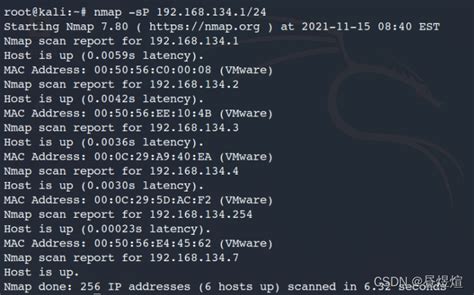 使用kali Linux进行nmap网络扫描 Csdn博客