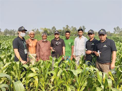 Agrigate Is Working To Increase The Production Of Maize For Farmers And Develop The Market The