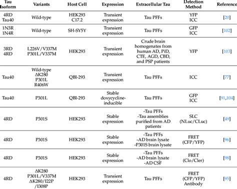 Relevant Cellular Models Of Tau Seeding Download Scientific Diagram
