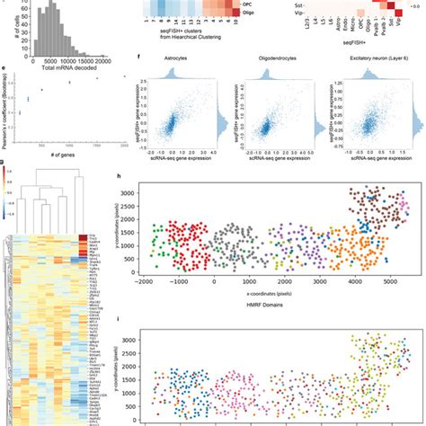 ScRNA Seq Comparison With SeqFISH Bootstrap And HMRF Analysis A B Download Scientific