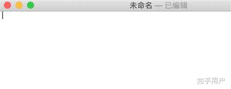 vim plug 代码补全插件 无法 git下载手动安装步骤 知乎