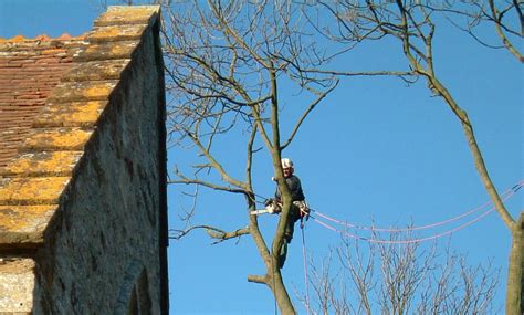 Tree Preservation Orders Tree Conservation Areas In Northants Bucks